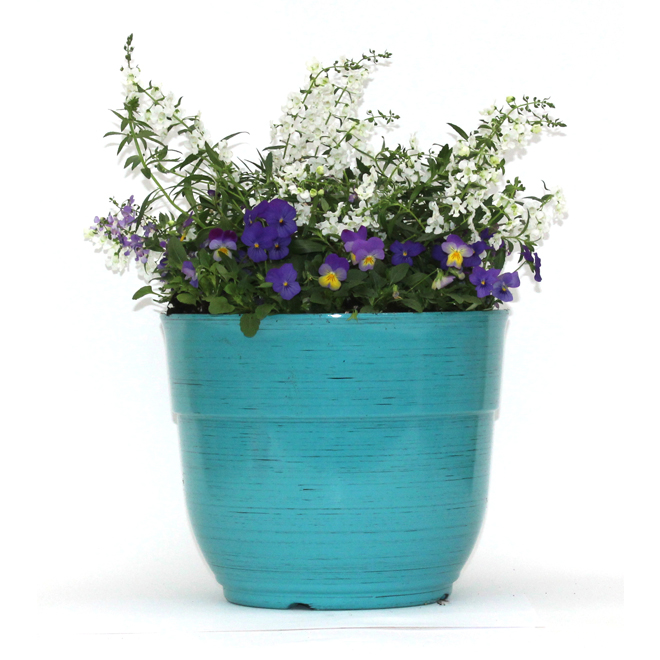Spring Planters - Annual Plants - 11" 805949 | RONA