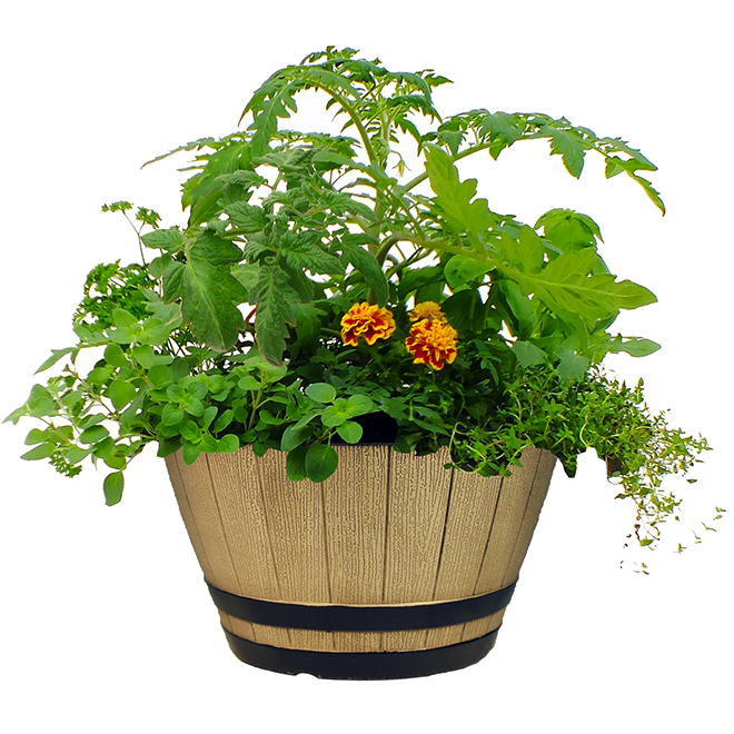 Fernlea Flowers 12-in Vegetable and Herb Barrel Planter 802993 | RONA
