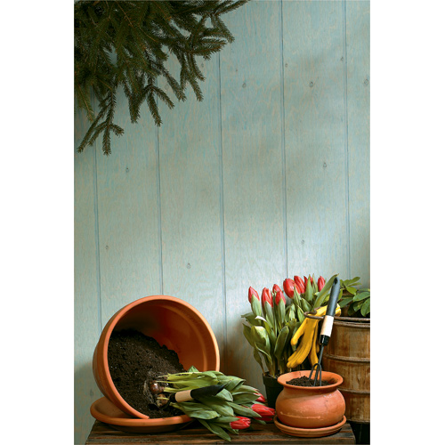 Canwel Rustic Chalet-Style Wood Siding - Spruce - Grey - 8-ft L x 48-in ...