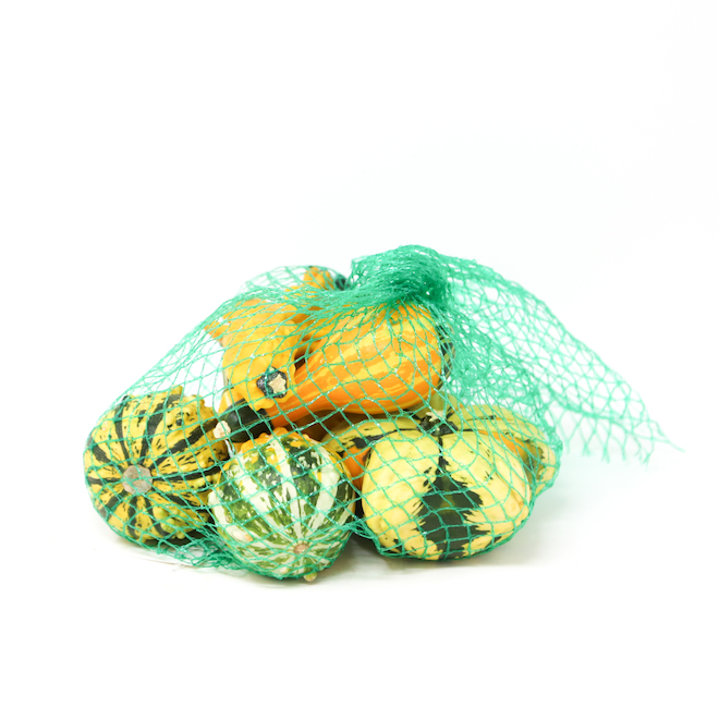DEVRY GREENHOUSE Assorted Gourds - Pack of 5 LI5GRD | RONA