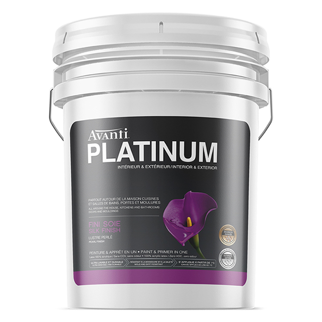 Avanti PLATINUM Paint and Primer for Interior and Exterior - 100% ...