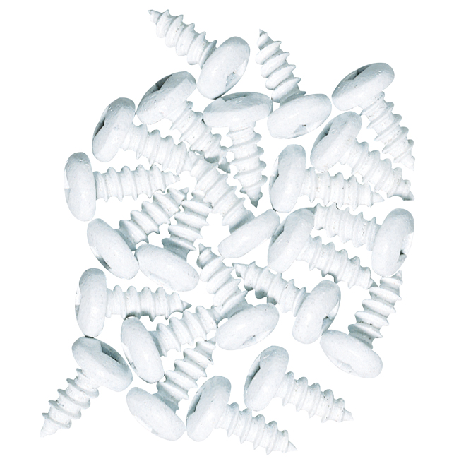 Primeau 25-Pack White Stainless Steel Hi-Bak Screws 02890 | RONA