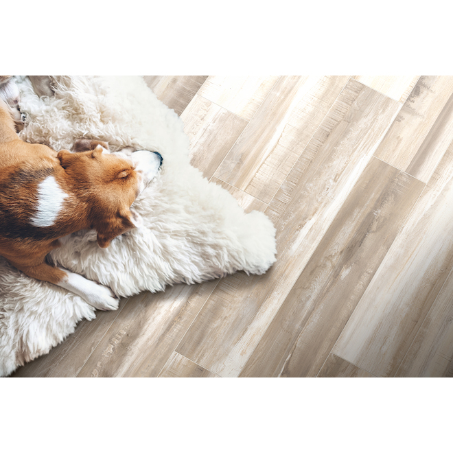 American Villa Mountain Bend Porcelain Tile - 6-in x 36-in Camel ...