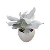 Fernlea Flowers Patio Planter - Rio - 13-in Various Colours 969979 | RONA