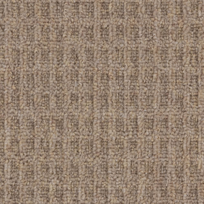 Beaulieu Canada 12-ft L Dark Beige Indoor Carpet Roll RN337-R0004-1200 ...
