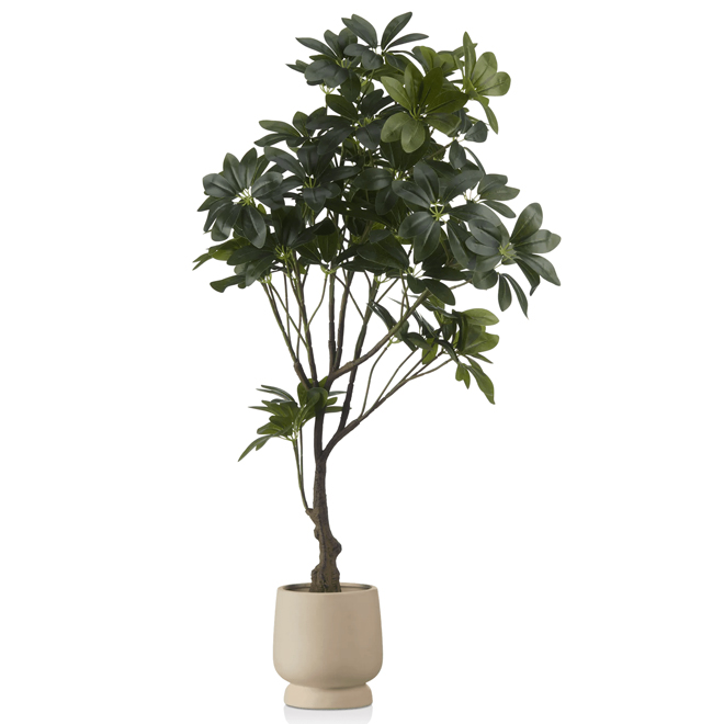 Bouclair 17 x 81 cm Tall Artificial Plant in Cream Ceramic Pot 9406638 ...