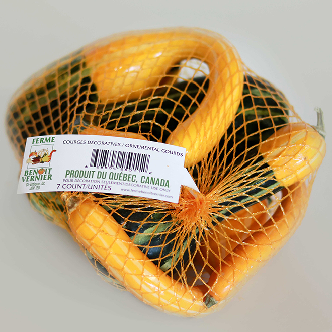 Mini courges décoratives Ferme Benoit Vernier assorties, paquet de 6 ...