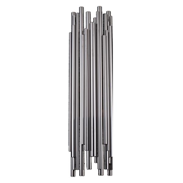 Design Living 2-Light Steel Rod Wall Sconce NL38CH | RONA