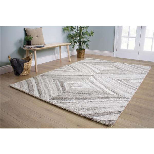 Kalora Sable Shaded Paragon Rug - 8' x 11' - Grey | RONA
