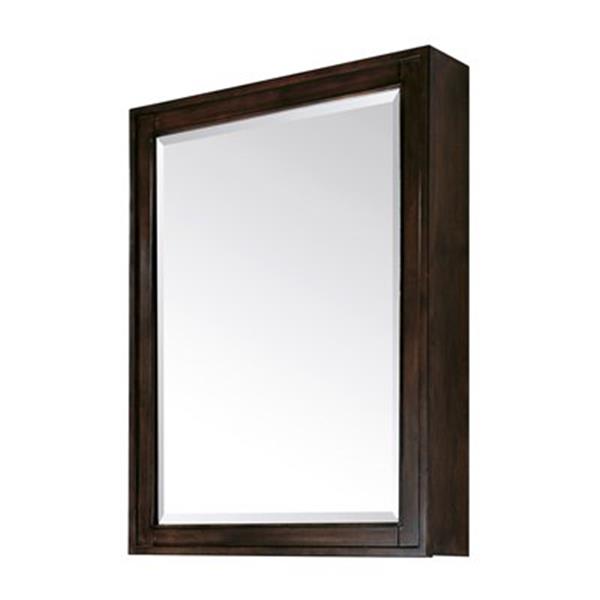 Avanity Madison Mirror Medicine Cabinet,MADISON-MC28-LE | RONA