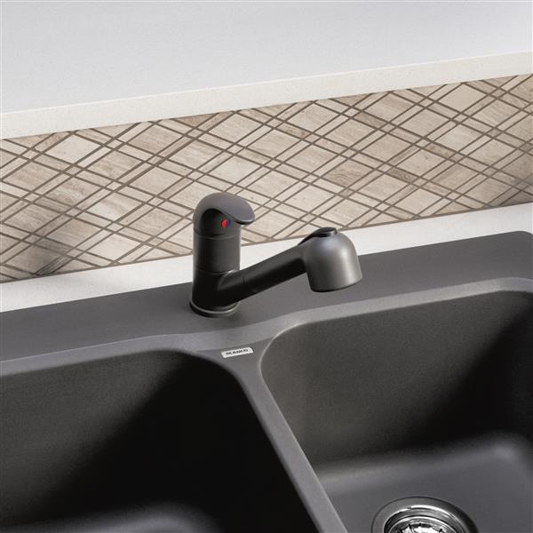 Blanco Torino Pull-Out Kitchen Faucet - Ash 441517 | RONA