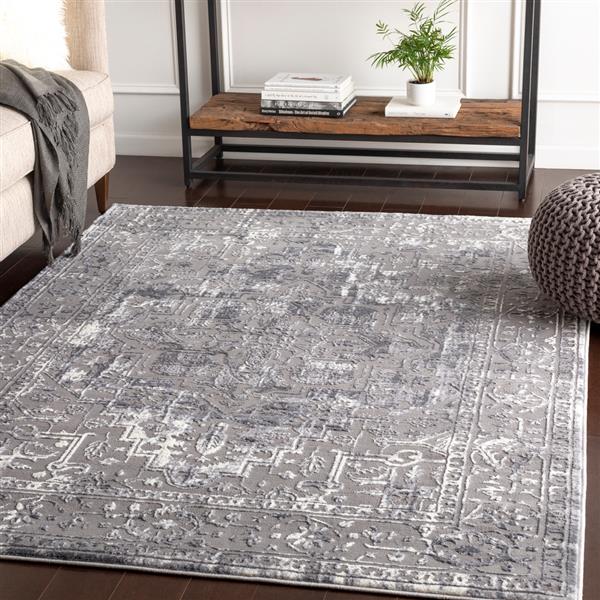 Surya Katmandu Updated Traditional Area Rug - 6-ft 7-in x 9-ft 6-in ...