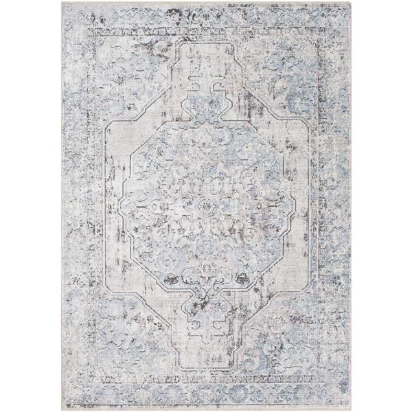 Surya Wonder Rectangular Transitional Area Rug - 9-ft x 12-ft 6-in ...