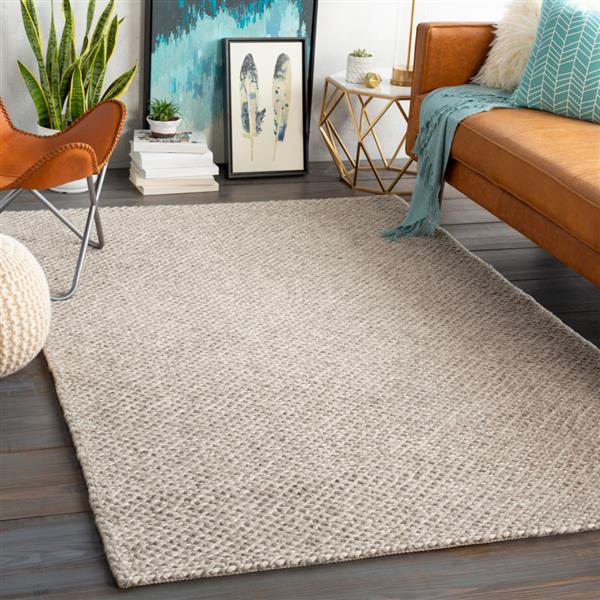 Surya Telluride Texture Area Rug - 8-ft x 10-ft - Rectangular - Taupe ...