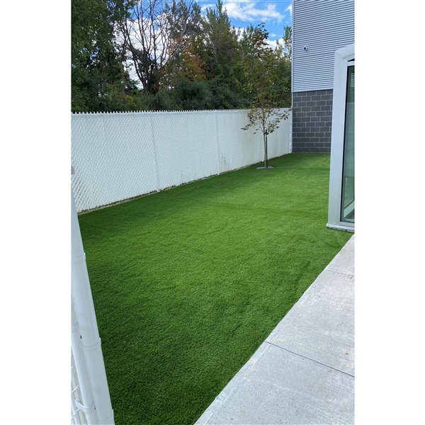 Gazon synthétique Quantum2020 de Trylawnturf, polypropylène, 10 pi x 5 pi, green QT2020510 | RONA