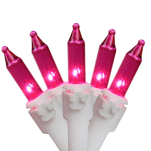 Northlight 100-Count Constant Pink Incandescent Electrical-Outlet ...