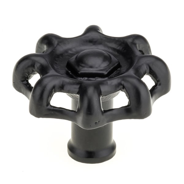 Richelieu Steampunk 3.03-in Black Round Farmhouse Cabinet Knob (1-Pack ...