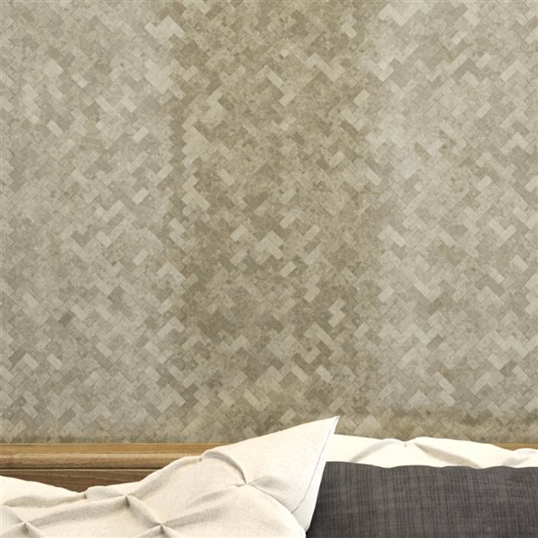 Tuile SpeedTiles 3X Faster pierre naturelle polie lisse beige 12 po x ...