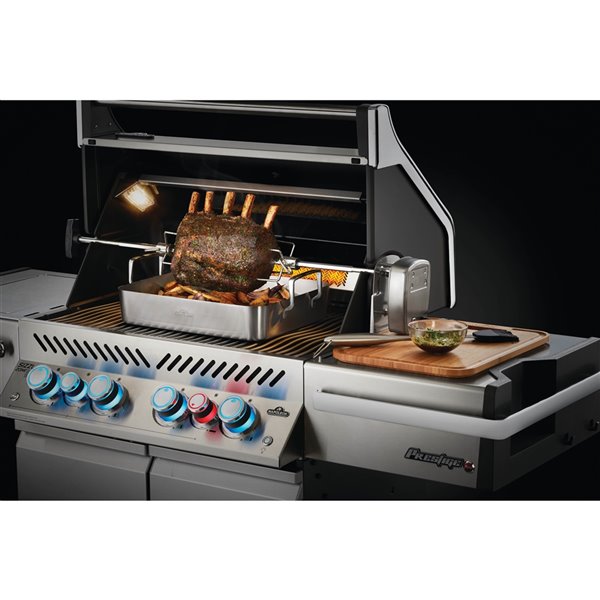 Napoleon Stainless Steel Roaster 56033 | RONA