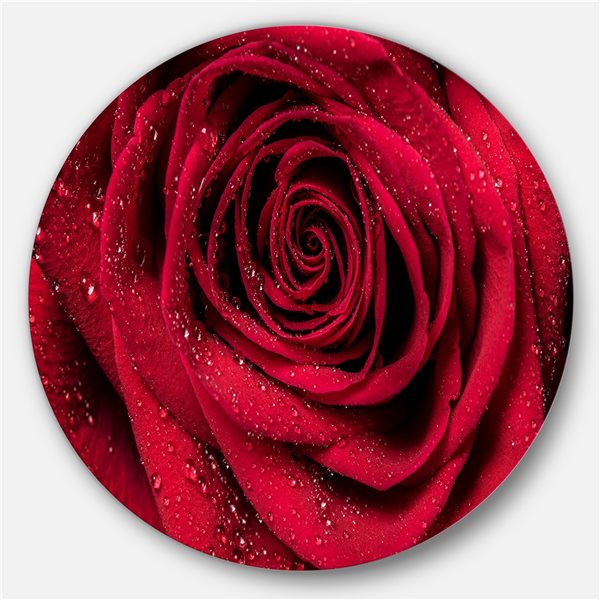 Designart 29-in x 29-in Round Red Rose Petals with Rain Droplets' Ultra ...