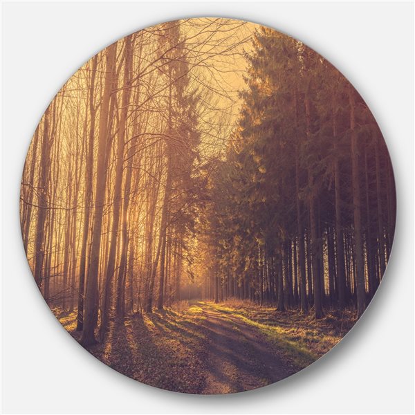 Designart 29-in x 29-in Round Pine Tree Forest by Road' Landscape Photo ...