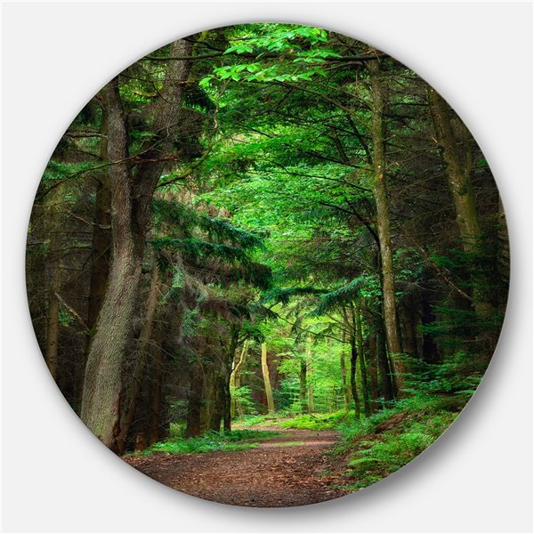 Designart 29-in x 29-in Dreamy Greenery in Dense Forest Forest Metal ...