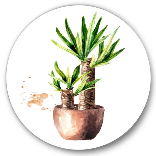 Designart 23-in x 23-in Yucca Tree in the Ceramic Flower Pot ...