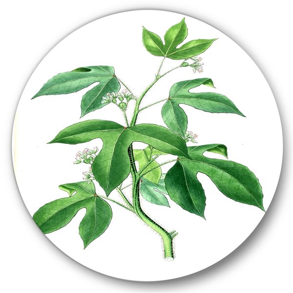 Designart 29-in x 29-in Vintage Green Leaves Plants V Traditional Metal ...