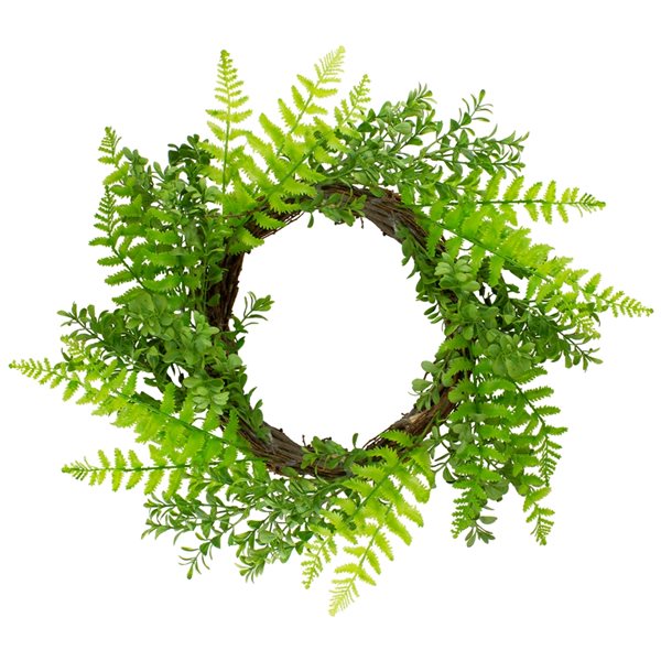 Northlight 18-in Green Artificial Fern Wreath 34739068 | RONA