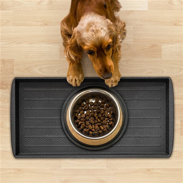 Stepguard Windsor Black Rectangular Indoor Boot Tray MT5100688CM | RONA