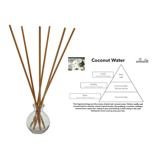 aroma43 Coconut Water Reed Diffuser with Glass Vase A4321 | RONA