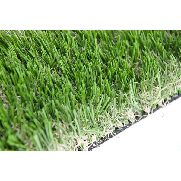 Gazon artificiel de fétuque Pet par Green As Grass de 5 pi x 3 pi 42918 | RONA