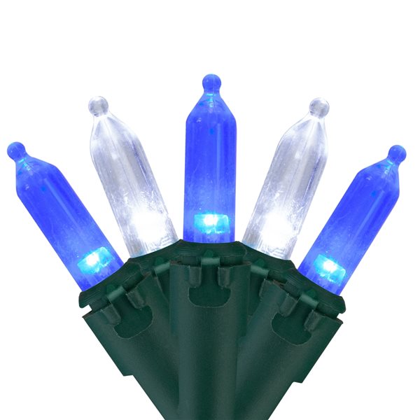 Northlight Set of 100 Blue and White LED Mini Christmas Lights - Green ...