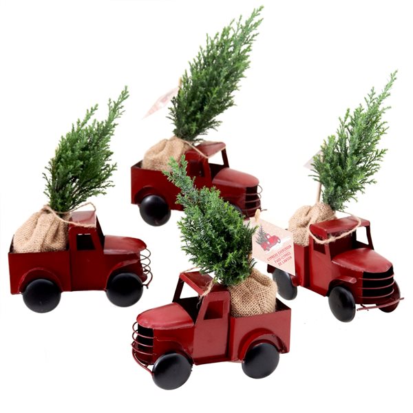 Tropi Co 12-in Pickup Decor and Live Mini Christmas Tree - Set of 4 ...