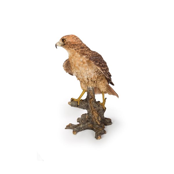 Hi-Line Gift Ltd. 17.52-in H x 8.07-in W Brown Wild Hawk Garden Statue ...
