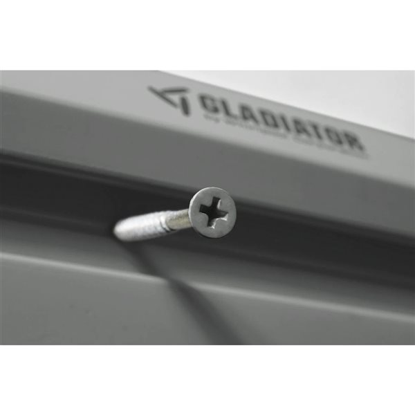 Gladiator Colour Matched Screws (32-Pack) GAAC0232LM | RONA