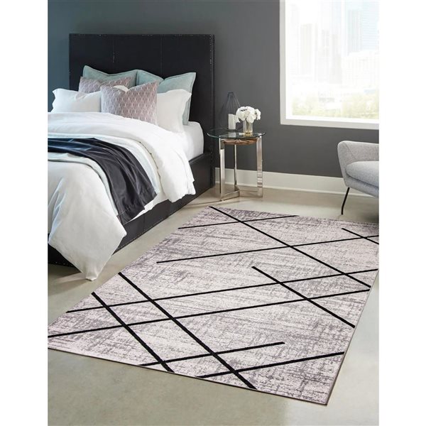 ECARPET Aqua Damali 6-ft x 9-ft Ivory and Black Rectangular Area rug ...