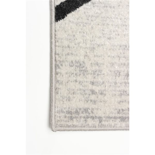 ECARPET Aqua Damali 6-ft x 9-ft Ivory and Black Rectangular Area rug ...