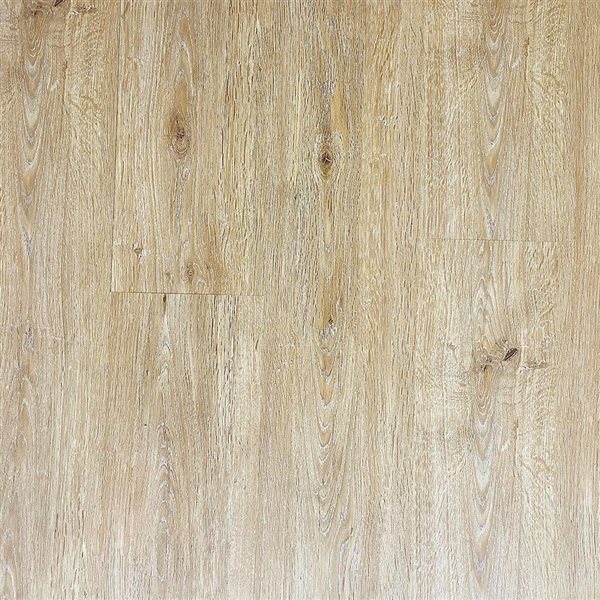 Deco Products Hydrostop Floor and Wall 6-in x 6-in x 5.2-mm Pacific ...
