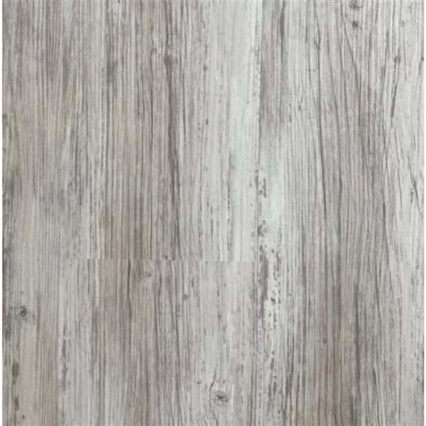 Deco Products Hydrostop Floor and Wall 6-in x 6-in x 5.2-mm Parris ...