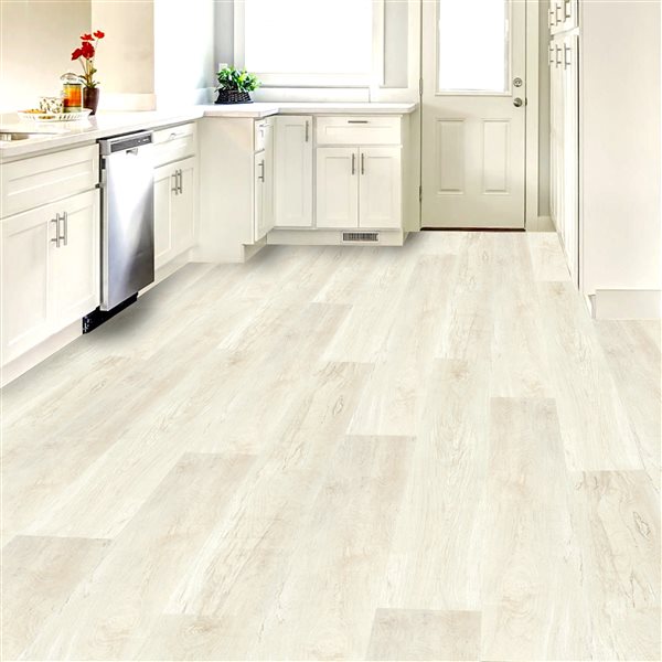 Deco Products Hydrostop Floor and Wall 6-in x 6-in x 5.2-mm Paradise ...