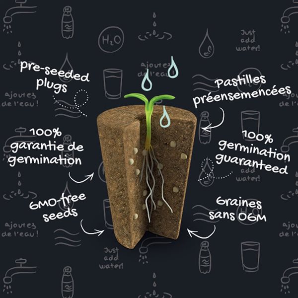 Ensemble de plants aromatiques Tasc avec thym, romarin, menthe poivrée ...