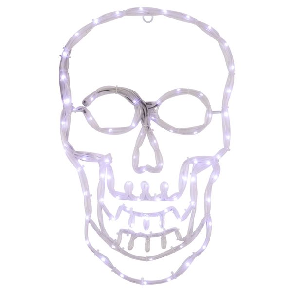 Northlight 18-in White Skull 4 Function LED Lighted Halloween Window ...