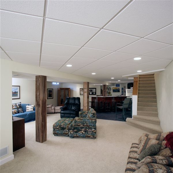 CeilingMAX 45-pack 100-sq. Ft. Black Ceiling Grid Kit 18207 | RONA