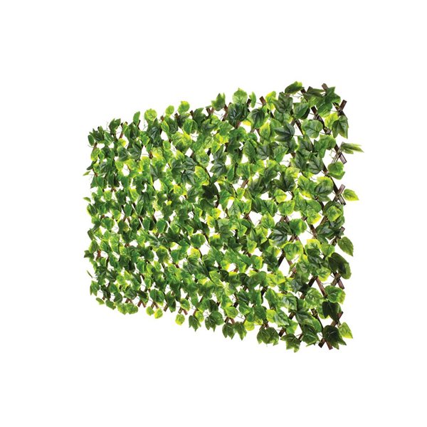 Treillis d'intimité en PVC extensible Naturae Decor feuilles de lierre ...