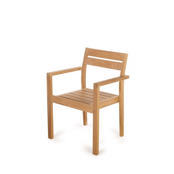 ARB Teak & Specialties Stellar 20 x 32.25 x 23.75-in Teak Stackable ...