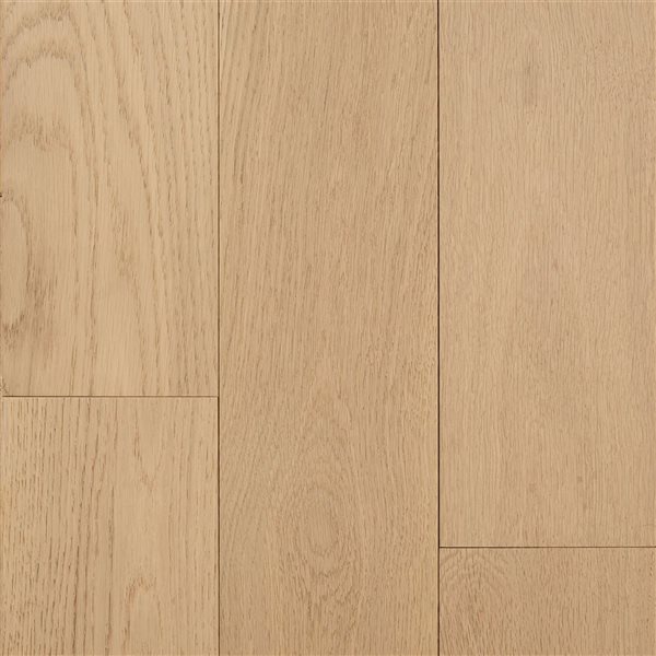 Duro Design 72-in x 5.67-in Engineered Flooring Standard Almond Sample ...