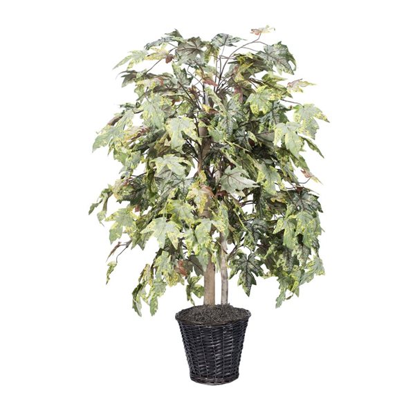 Vickerman 4-ft Artificial Frosted Maple Bush in Rattan Basket TBU1740 ...