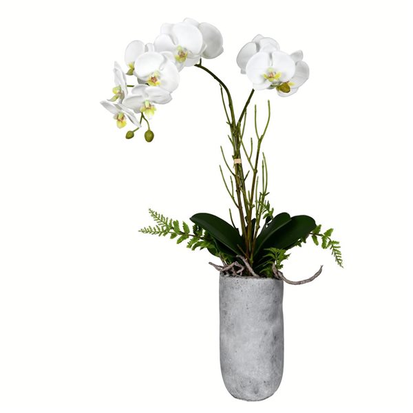 Vickerman 17-in Artificial White Butterfly Orchid FX191017 | RONA