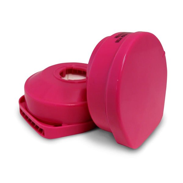 WORKHORSE® Workhorse 2-Pack P100 Replacement Cartridges SRSR871515Q | RONA